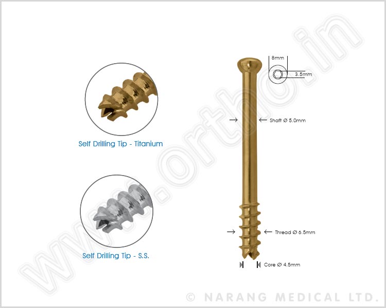 Cancellous Cannulated Screw Ø 6.5mm 16mm Thread, Cancellous Cannulated ...