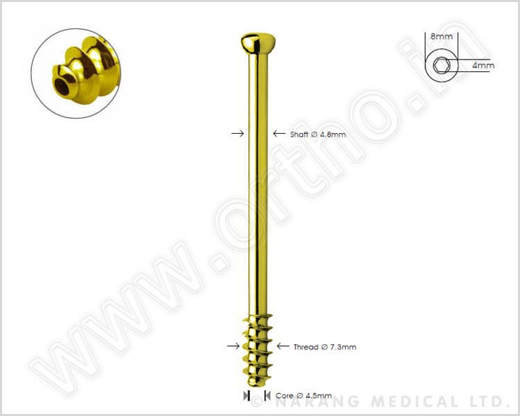 Cancellous Cannulated Screw Ø 7.3mm - 16mm Thread, Cancellous ...