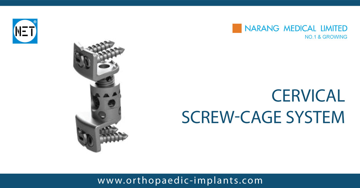 Cervical Screw-Cage System, Cervical Screw-Cage System Manufacturer ...