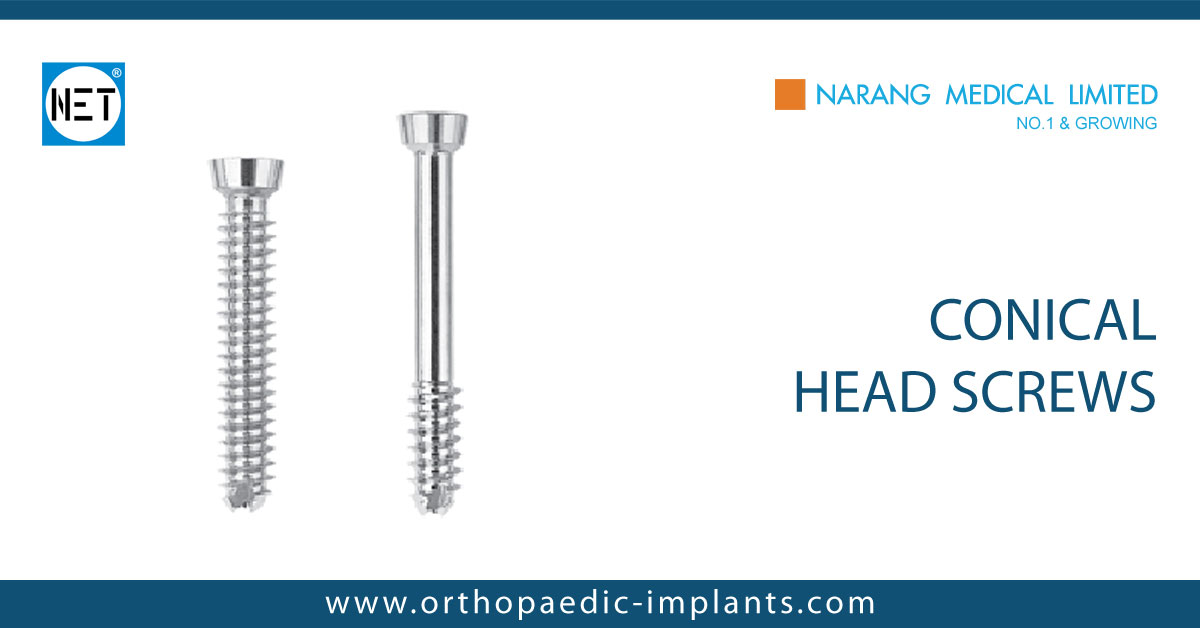 Conical Head Screws, Conical Head Screws Manufacturer, Conical Head ...