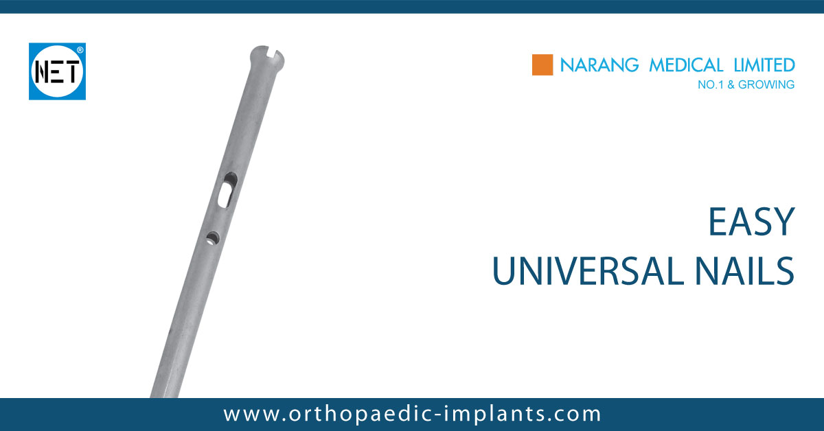 Easy Universal Nails, Easy Universal Nails Manufacturer, Easy Universal ...