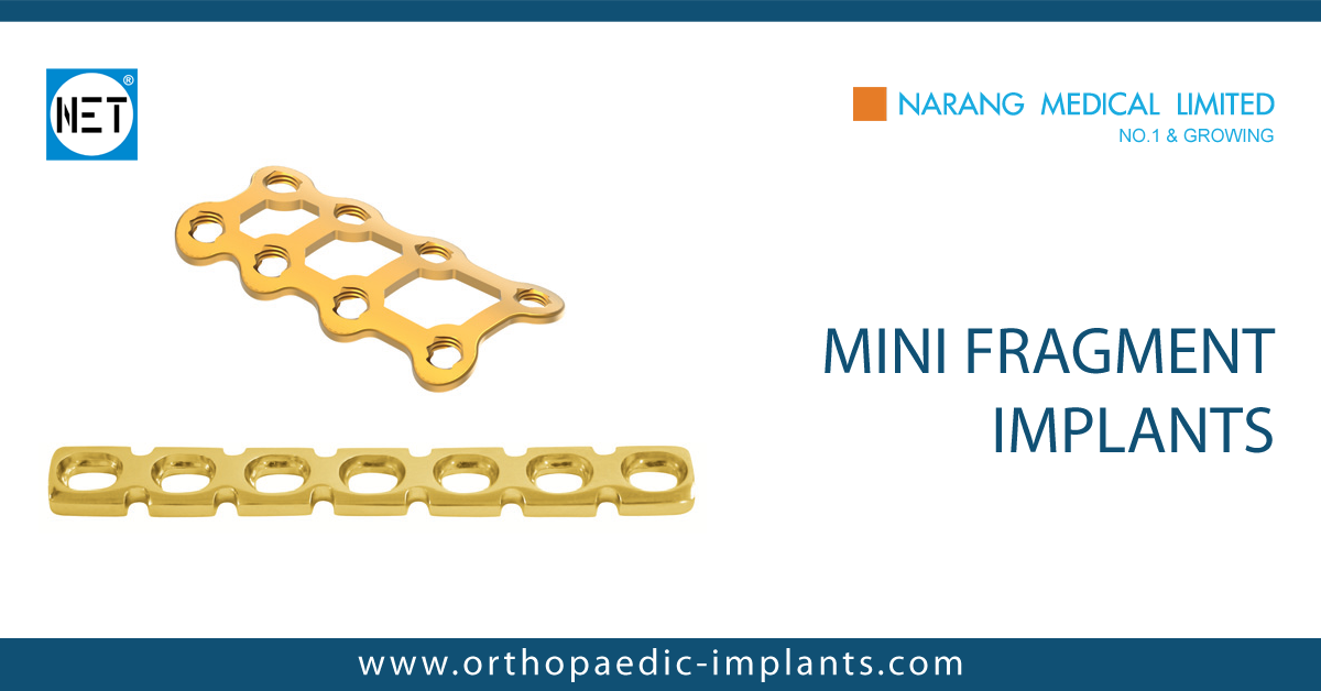 Mini Fragment Implant, Mini Fragment Implant Manufacturer, Mini ...