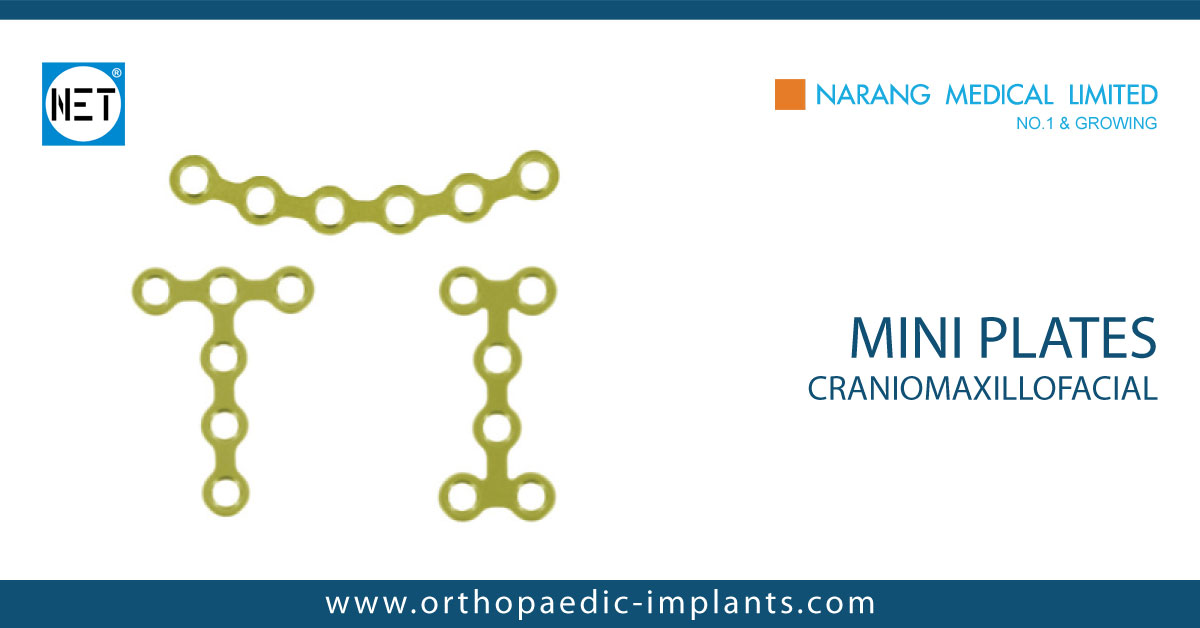 Mini - Plates, Mini - Plates Manufacturer, Mini - Plates Suppliers ...