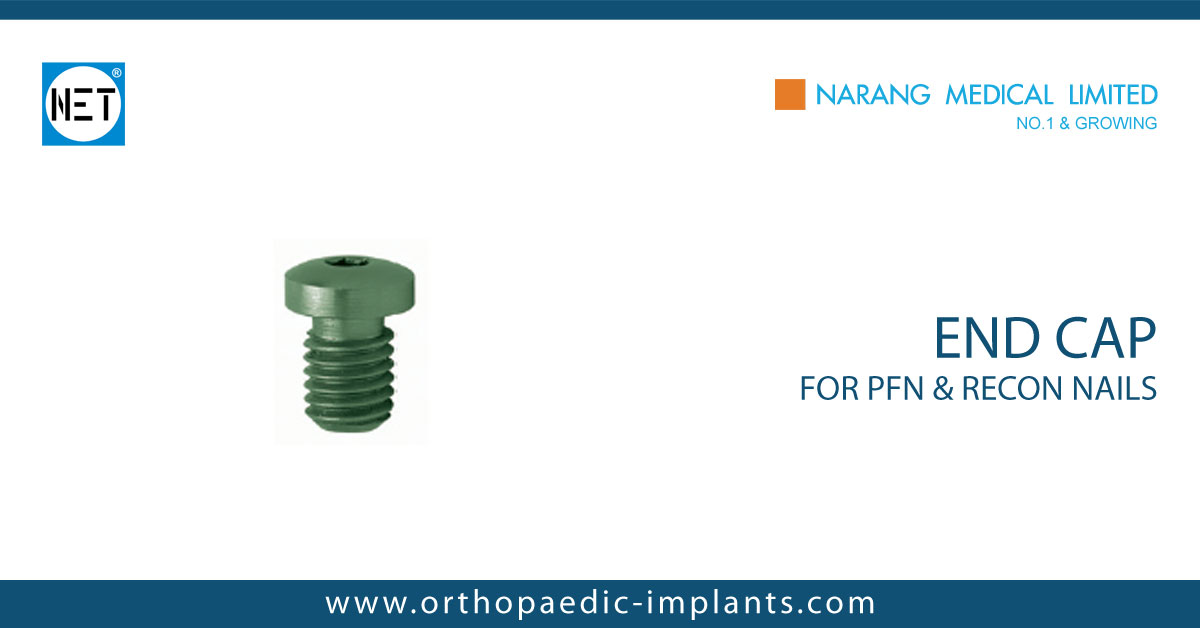 End Cap For Pfn & Recon Nails, End Cap For Pfn & Recon Nails ...