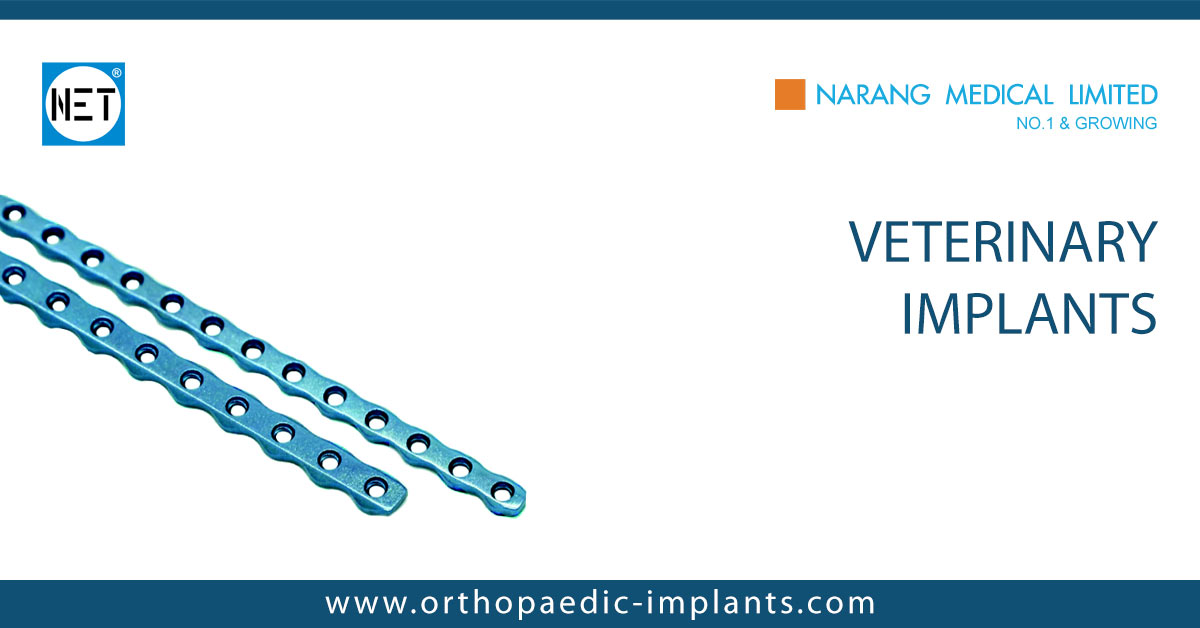 Veterinary Implants, Veterinary Implants Manufacturer, Veterinary ...
