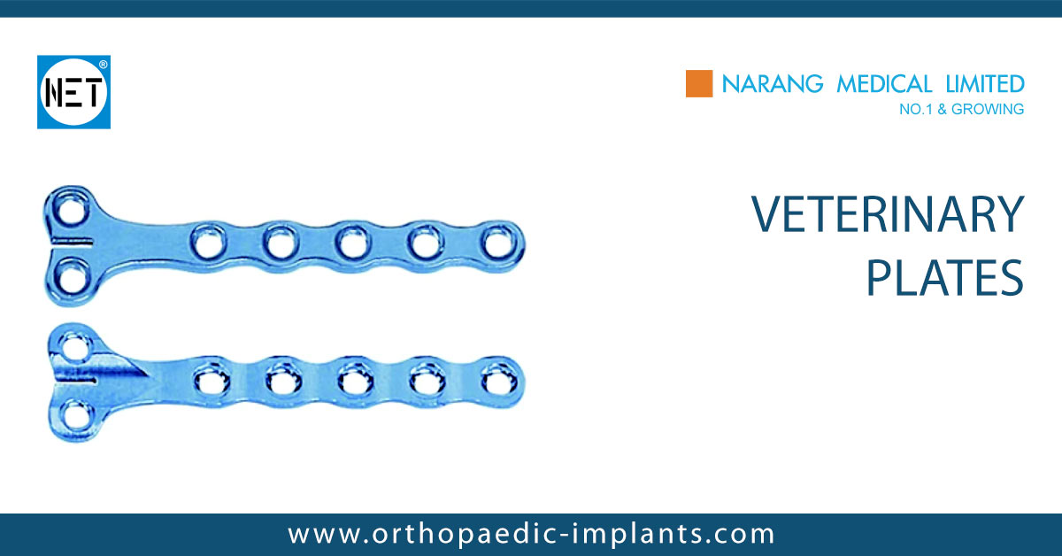 Veterinary Plates, Veterinary Plates Manufacturer, Veterinary Plates ...