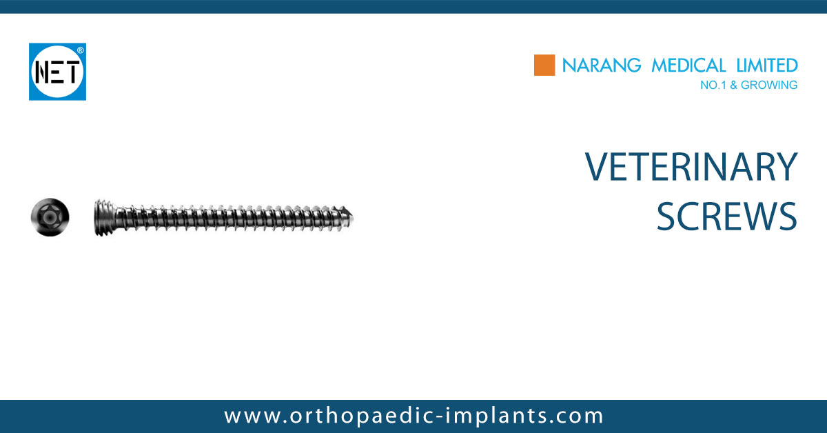 Veterinary Screws, Veterinary Screws Manufacturer, Veterinary Screws ...