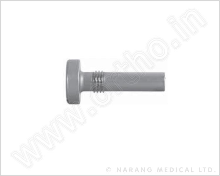 Hip Fracture Nail End Caps, Hip Fracture Nail End Caps Manufacturer ...