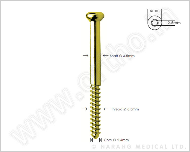 Bone Screws - Standard Implants, Bone Screws - Standard Implants ...