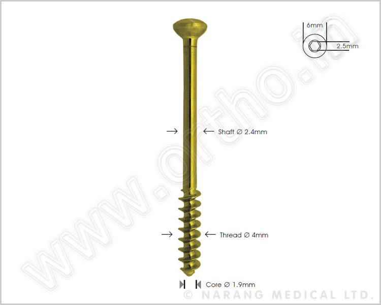 Bone Screws - Standard Implants, Bone Screws - Standard Implants ...